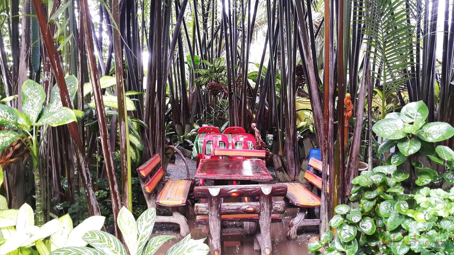 10 Tempat Menarik Di Yan Kedah - GreaterKedah.Com